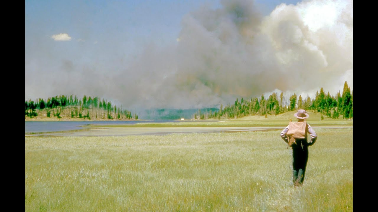Yellowstone Fires Of 1988 - YouTube