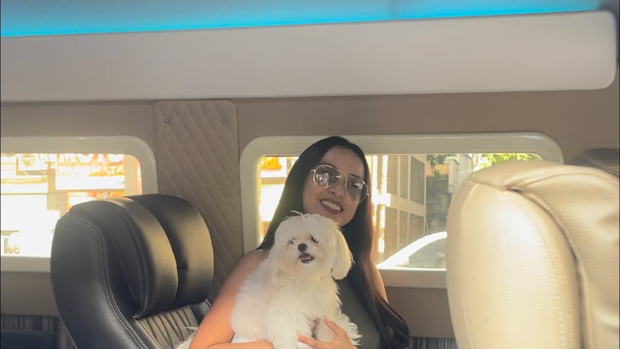 Artista/Barkada Van by Atoy Customs #atoycustoms #artistavan - YouTube