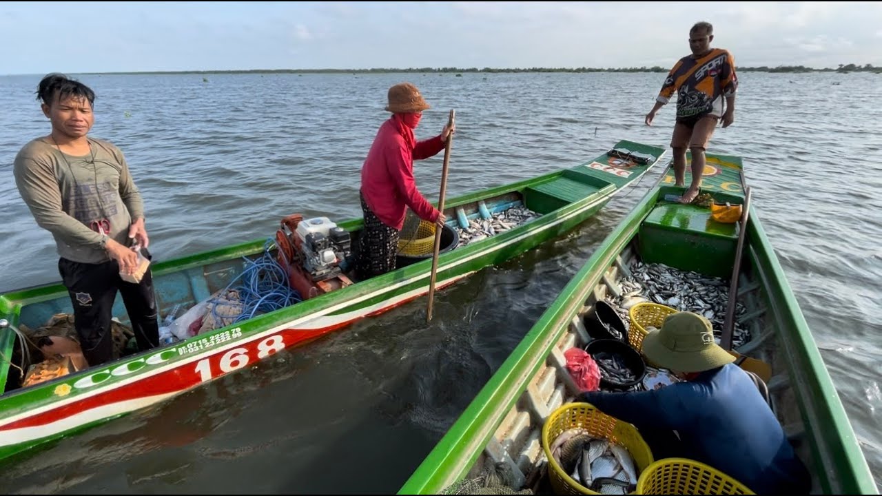 fishing with an oxygen machine to catch fish in the lake in Tonle Sap ...