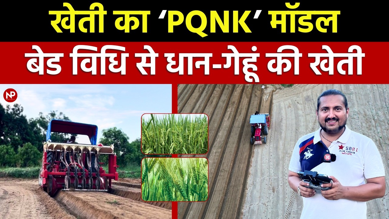 PQNK Model of farming explained, kheti का पिकनिक मॉडल || Part-2 - YouTube