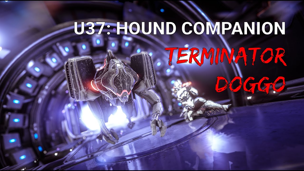 WARFRAME: U37 COMPANION UPDATE - TERMINATOR DOGGO (feat. Excalibur ...