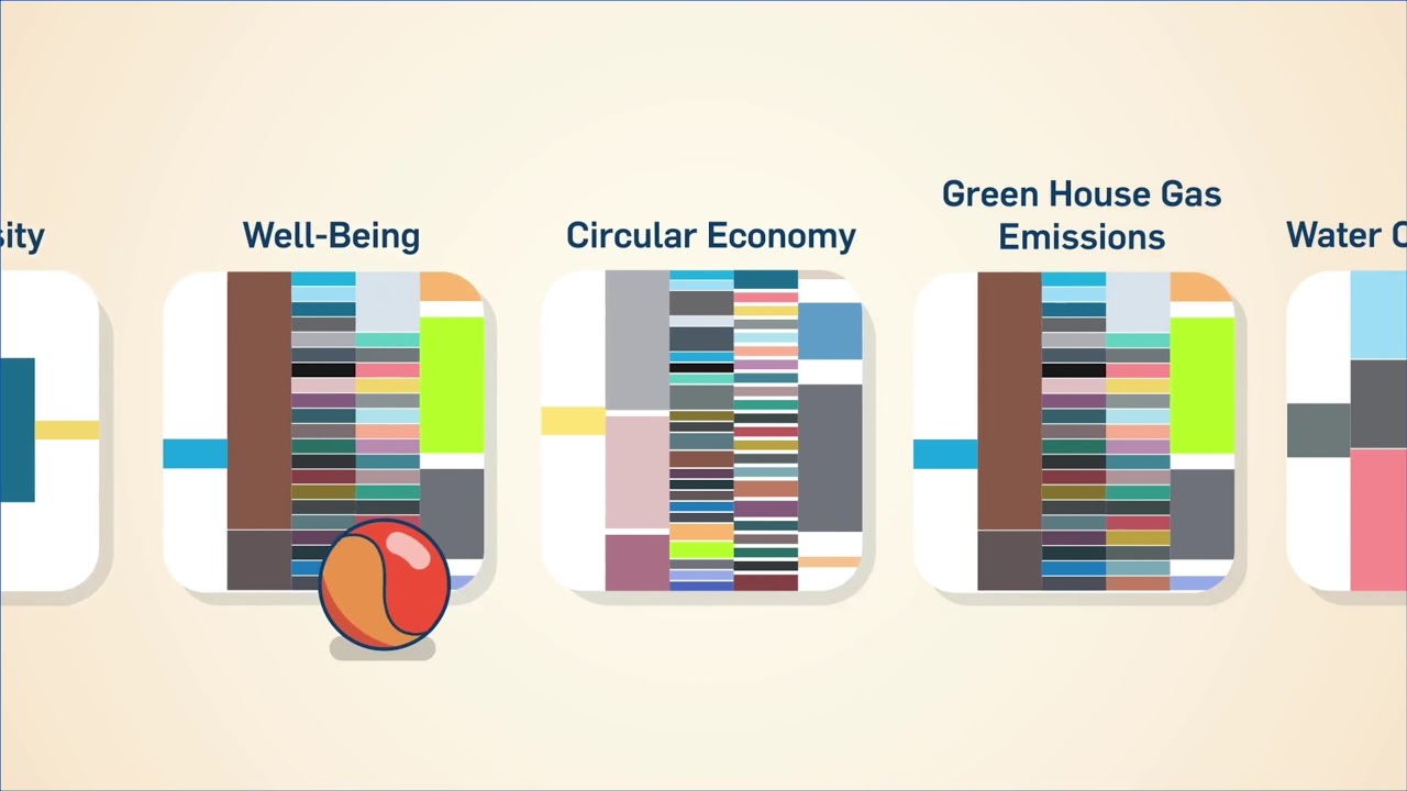 OIR, PIR, AIR y EIR - YouTube