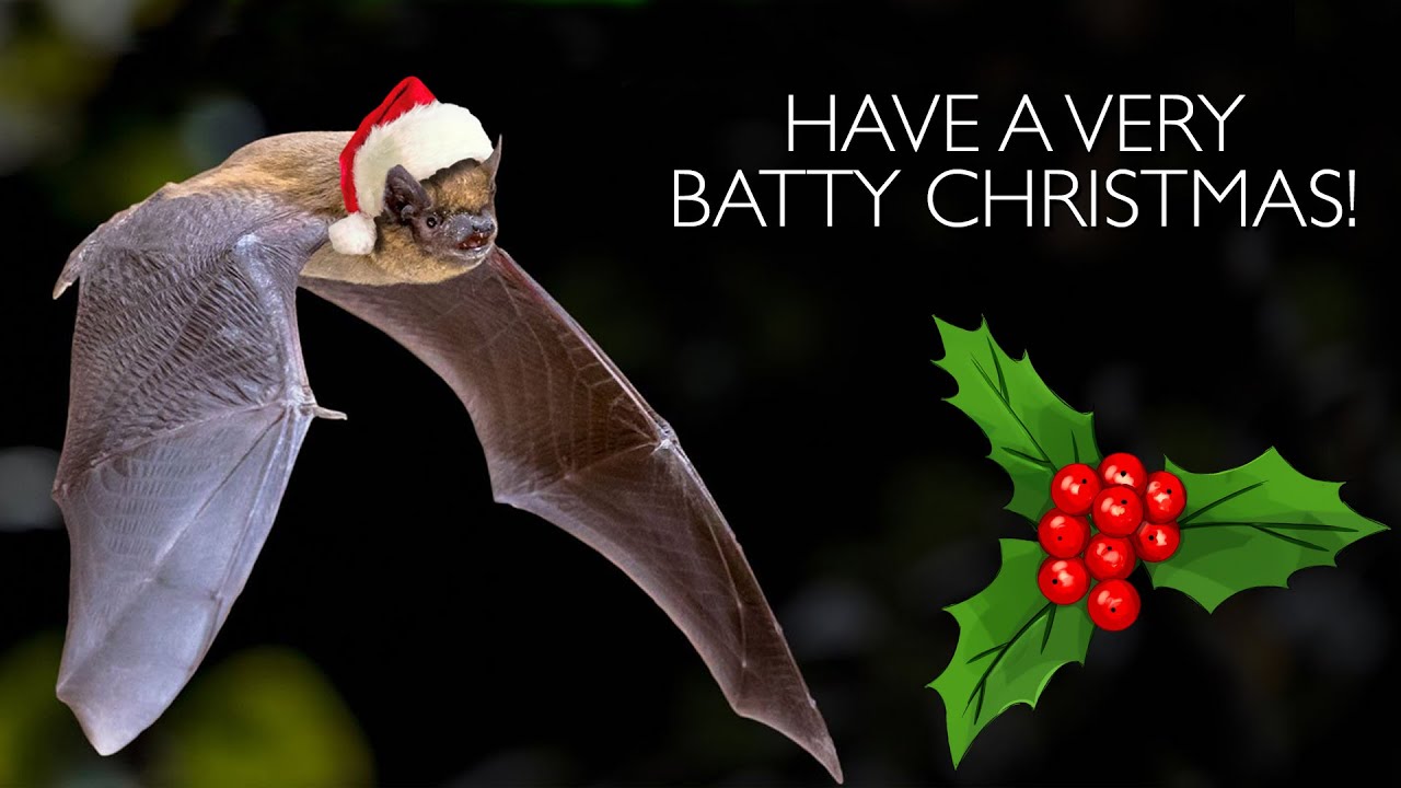 Have a very Batty Christmas! - YouTube