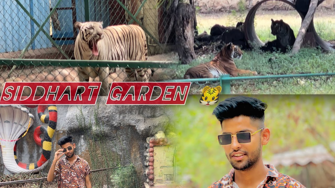 FINALLY FULL EXPLORE SIDDHARTH GARDEN ZOO 🦁🐅🐒 - YouTube