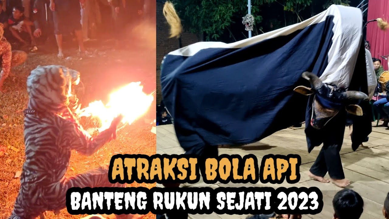ATRAKSI BOLA API MACAN LORENG || BANTENG RUKUN SEJATI live sumberjo ...
