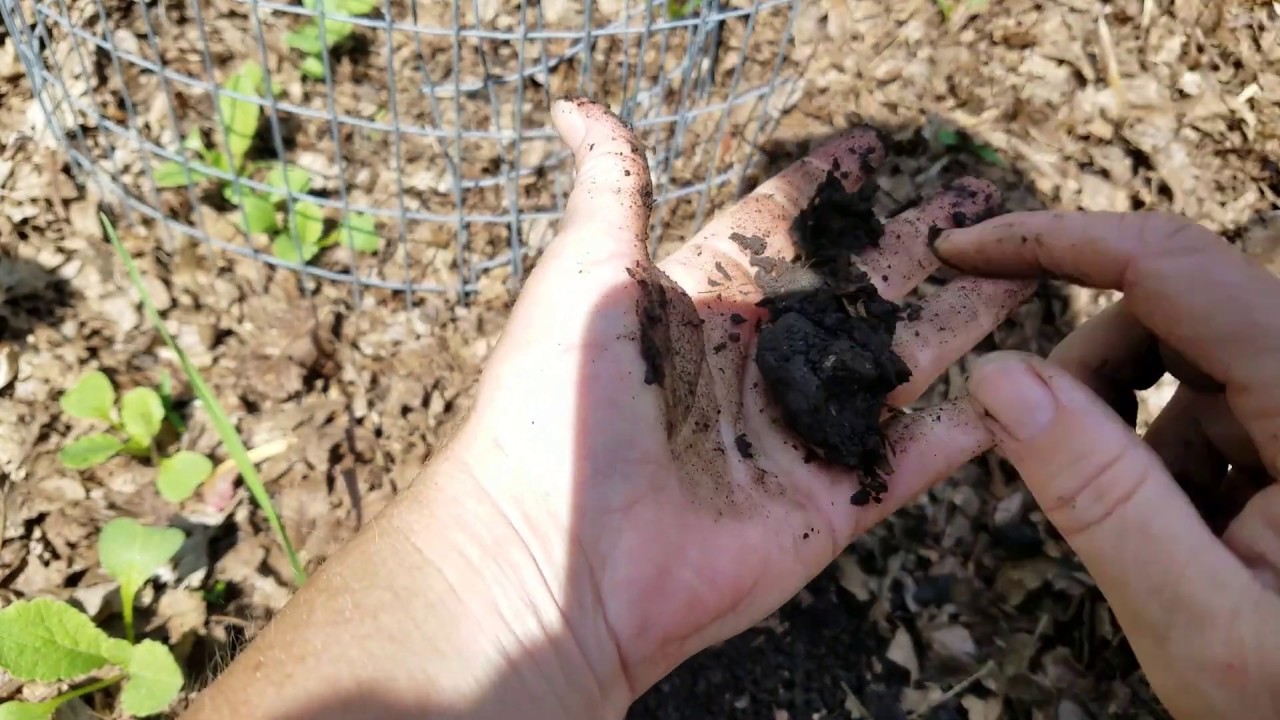 Soil Friability Test - YouTube