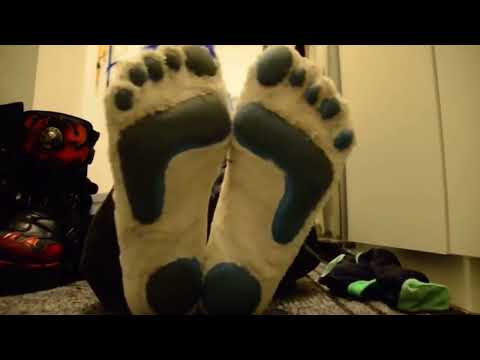 Cute furry feet