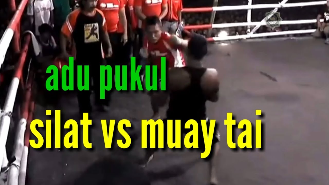 jony hunter vs atlet muay tai - YouTube