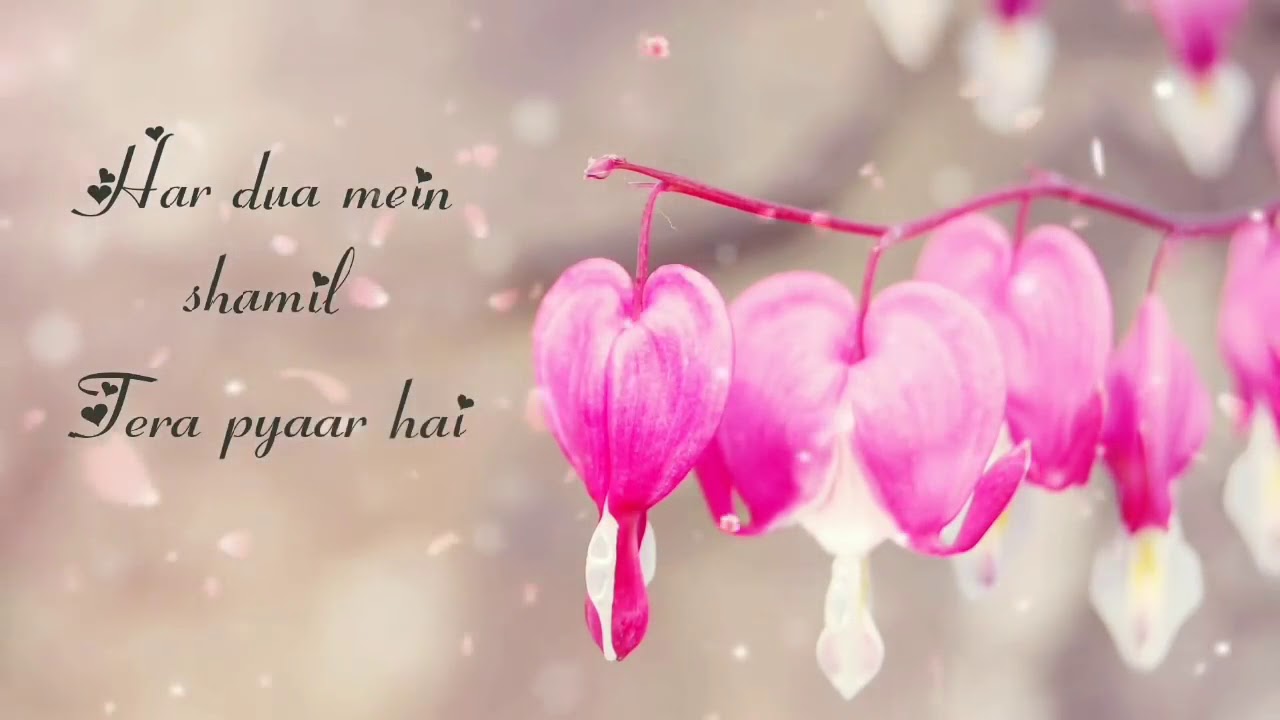 WhatsApp Video Status Most Beautiful Love Song Status.(32) - YouTube