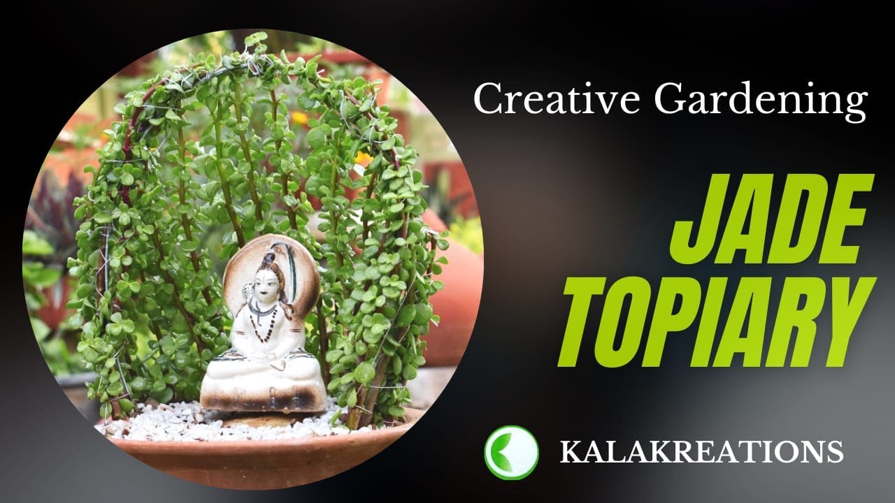 JADE TOPIARY | CAVE SHAPE | SIMPLE & EASY | DIY - YouTube