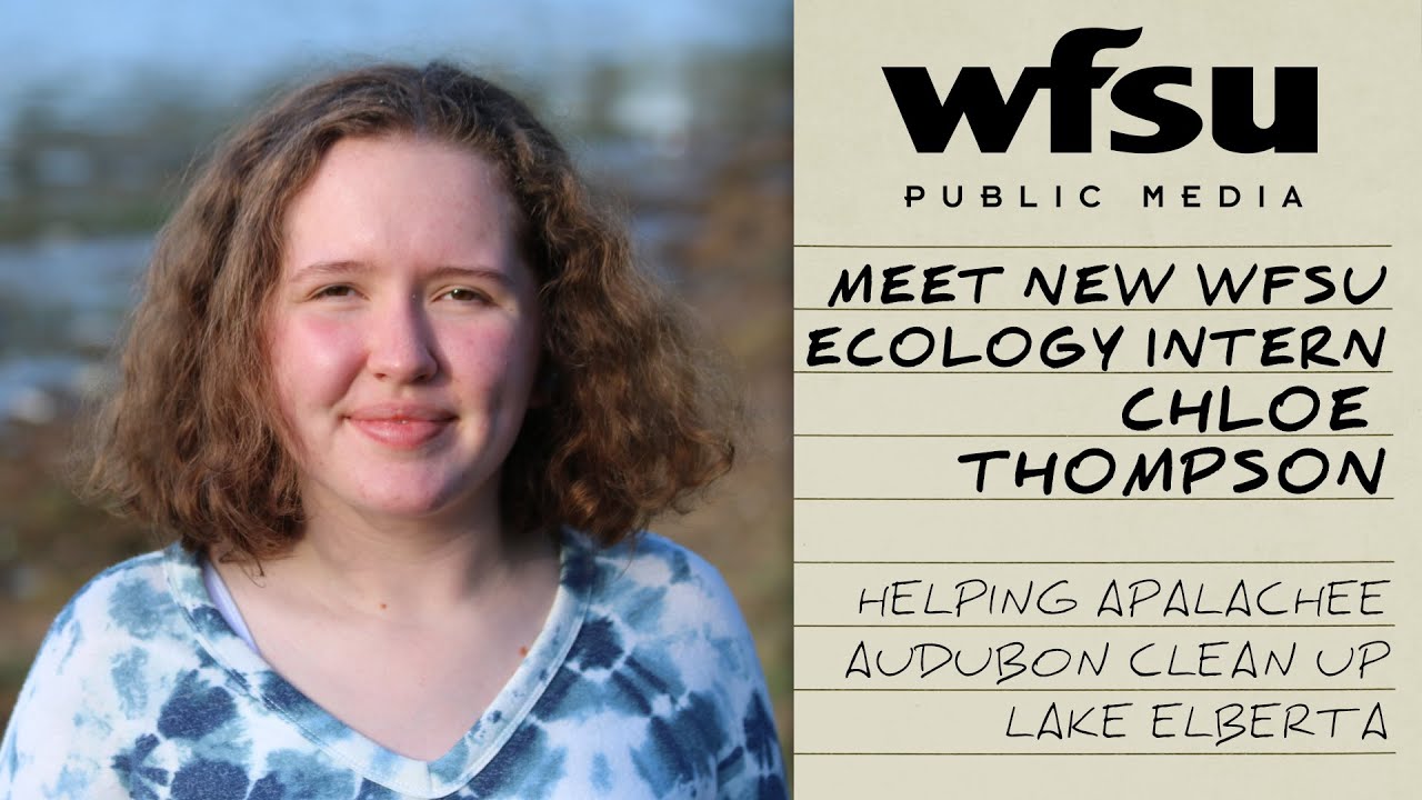 Meet New WFSU Ecology Intern Chloe Thompson - YouTube