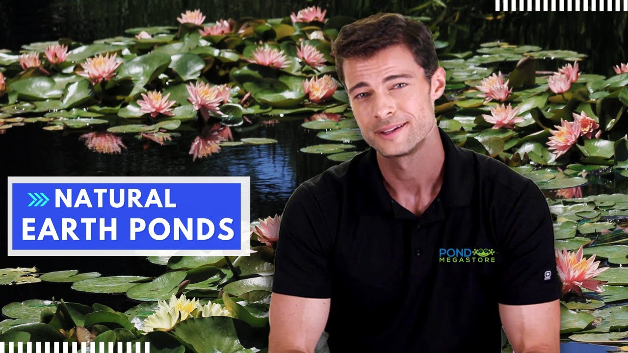 Natural Earth Bottom Ponds, Things you should know and the best ...