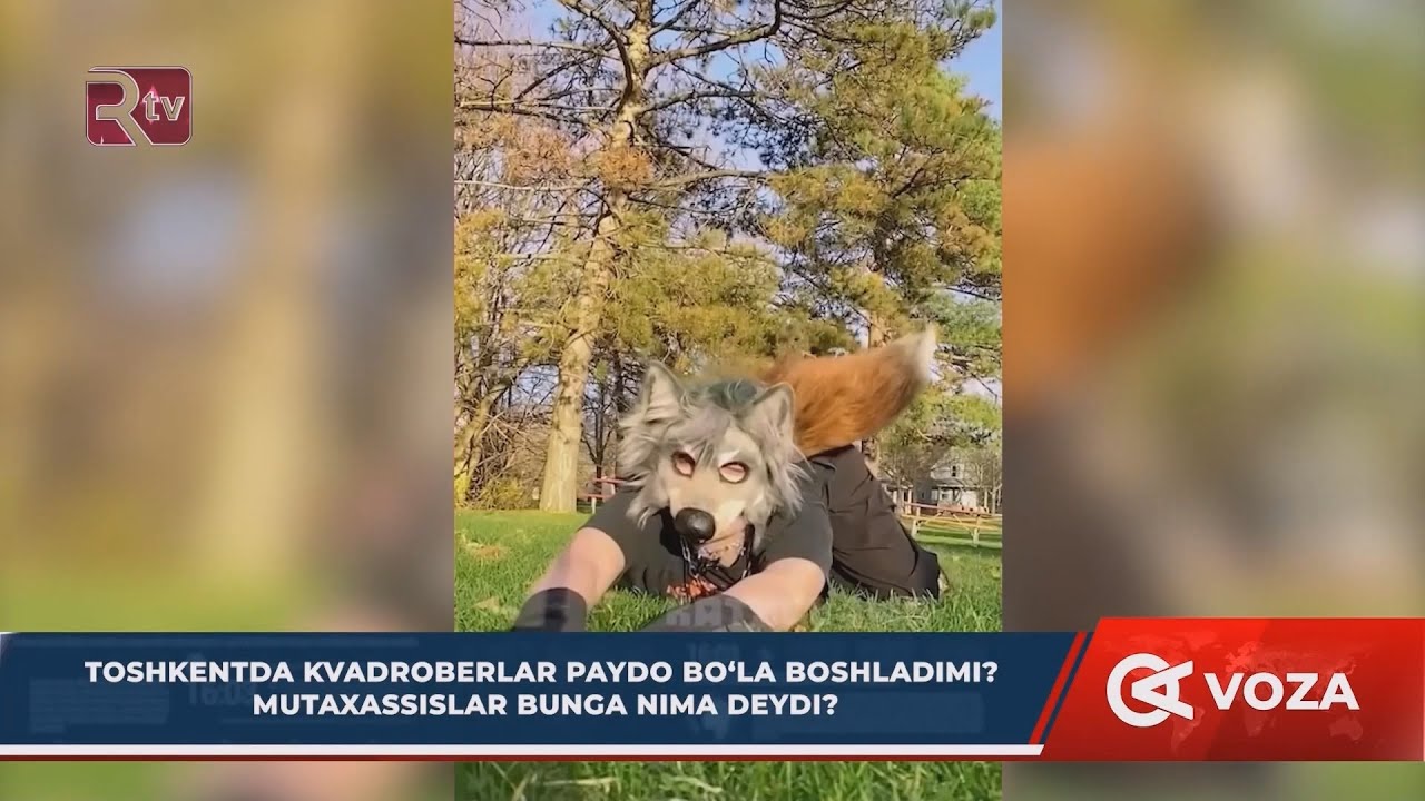 Toshkentda kvadroberlar paydo bo'la boshladimi? Mutaxassislar bunga ...