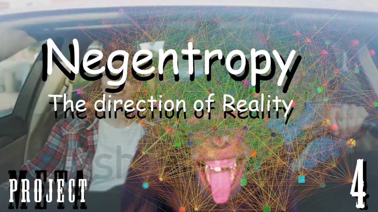 Negentropy and the Direction of Reality - YouTube