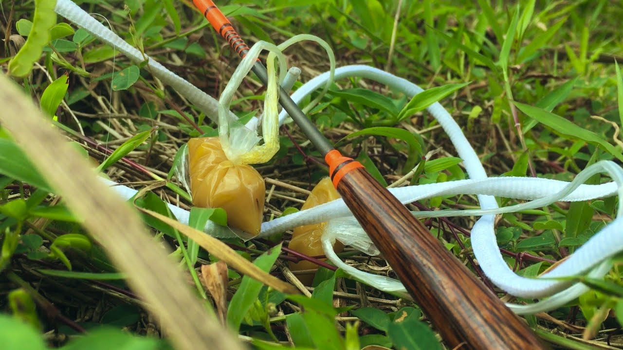 Master Angler in Tanago / Micro Fishing Trip Action @MancingTanago ...