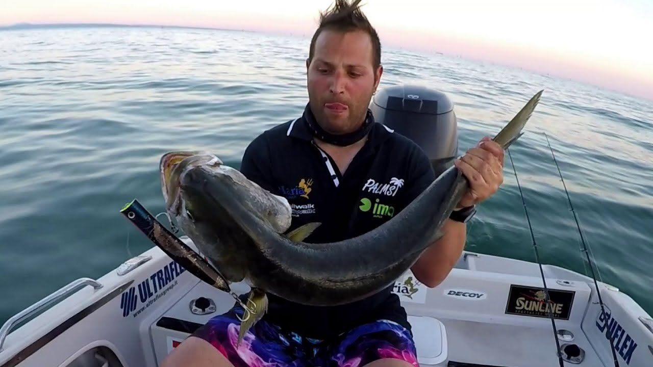SERRA A SPINNING Gigante - MONSTER Bluefish My RECORD Popper Top Water ...