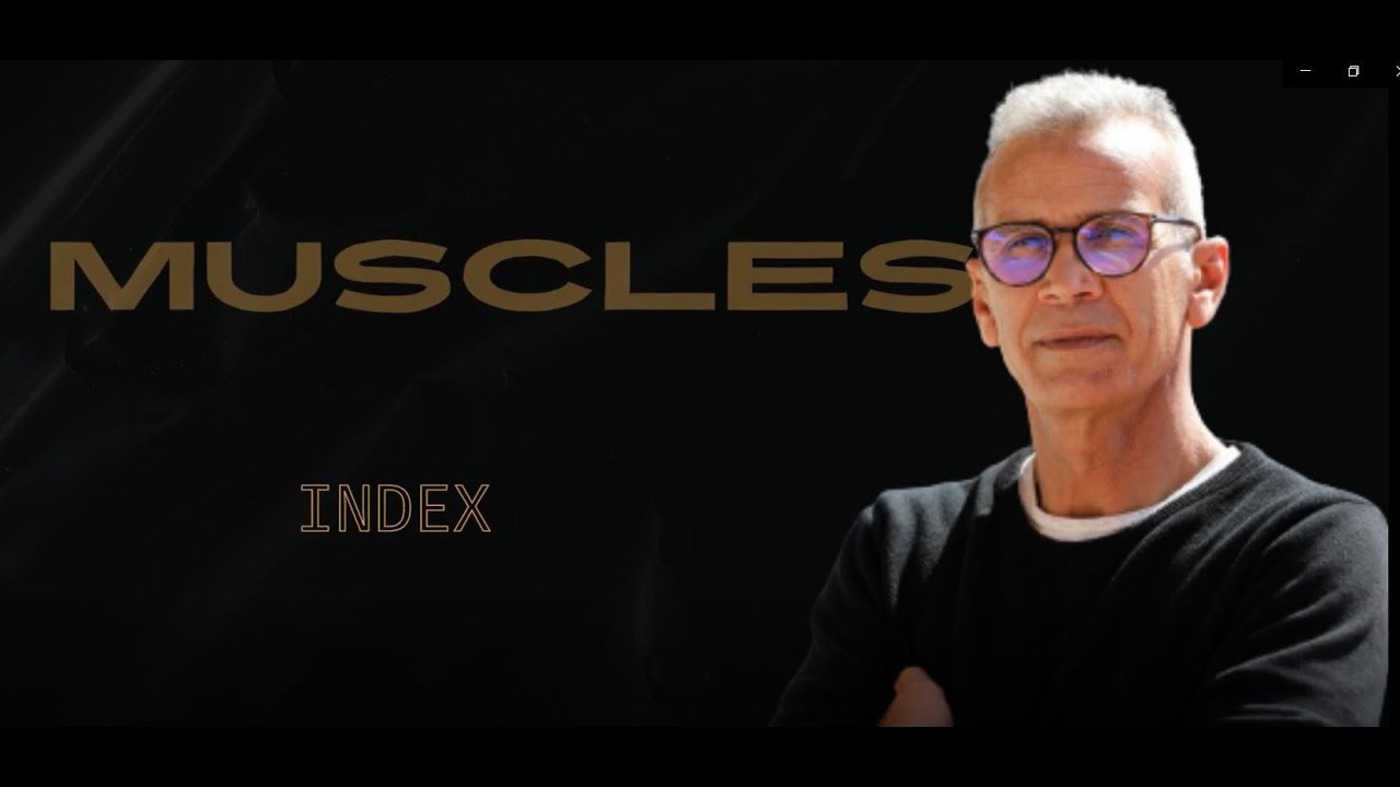 Muscles par Mouvement Part 2 - Antépulsion-Rétropulsion- - YouTube