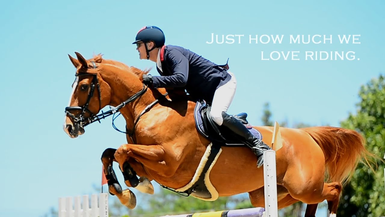 This is Equestrian Life - YouTube