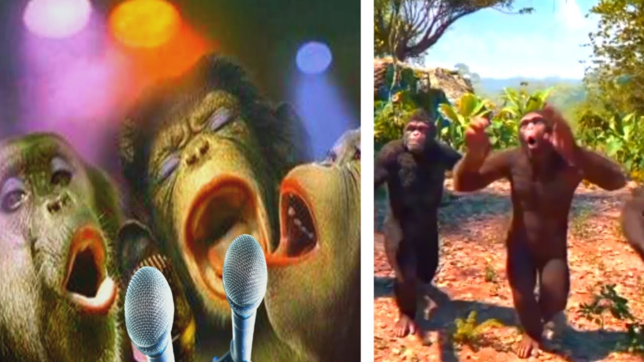 🤣Funny 🤣Monkey Singing & Dancing on Witch Doctor Song- Ooh Eeh Ooh Ah ...