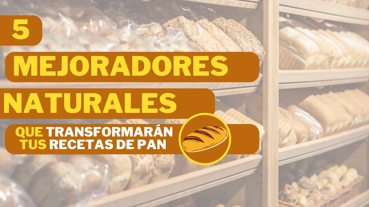 ¿Quieres un Pan 🍞 Sabroso y Saludable? 5 MEJORADORES NATURALES que ...