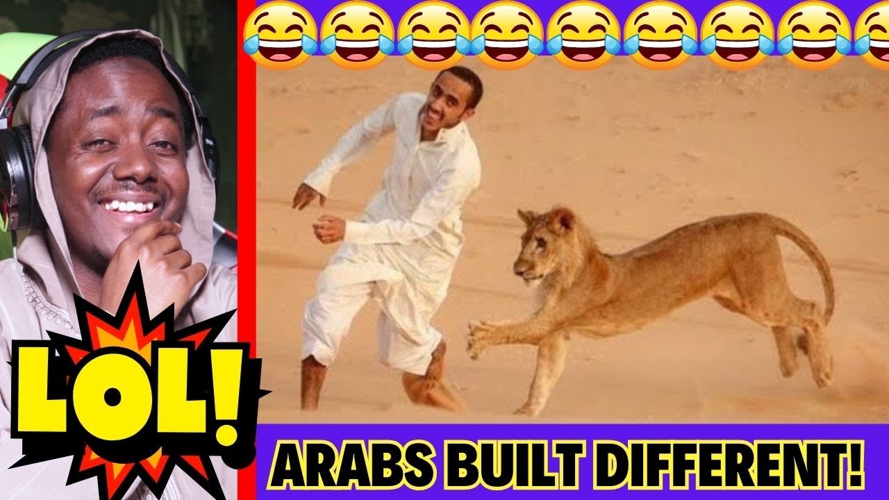 HALAL TRY NOT TO LAUGH - Arab memes(part 5) but they NEVER Disappoint 😂 ...