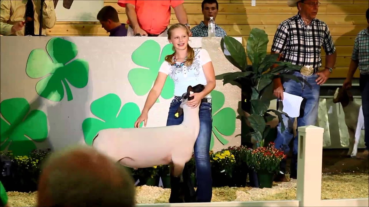 2014 | Kaylee Wendt | Olmsted County | Market Sheep - YouTube