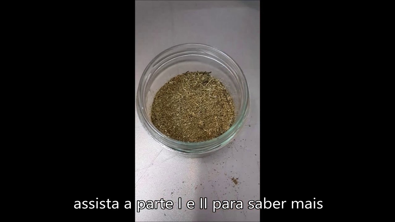 Sal Verde - Sarcocornia Ambígua (similar à Salicornia) - Como fazer ...