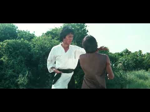 Snake In The Monkey's Shadow (1979) - Classics on the Big Screen  @KungfuCinema London