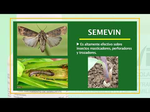 Semevin Insecticida Agrícola