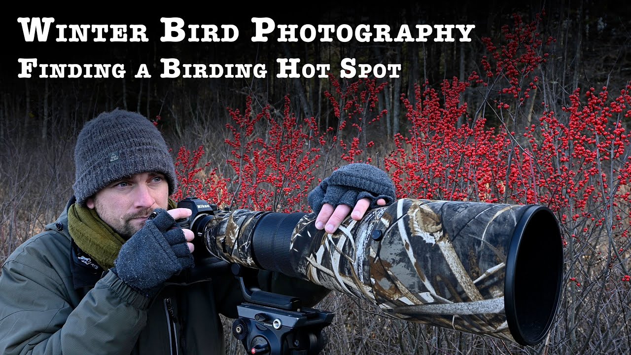 Winter Bird Photography: Finding a Birding Hot Spot - YouTube