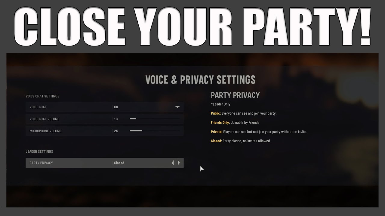 How To Change Your Party Privacy Settings Call Of Duty Vanguard - Stop ...