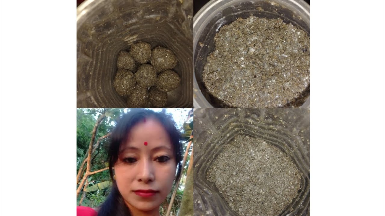 Dry fish powder making process #Dryfishpowder @NIYAR-DIKHOW - YouTube