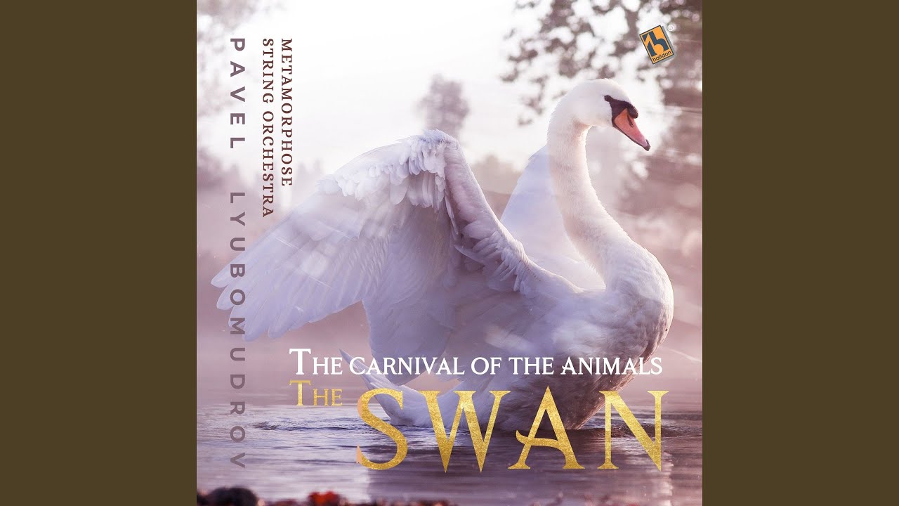 The Carnival of the Animals, R. 125: XIII. The Swan (Orchestrated by ...