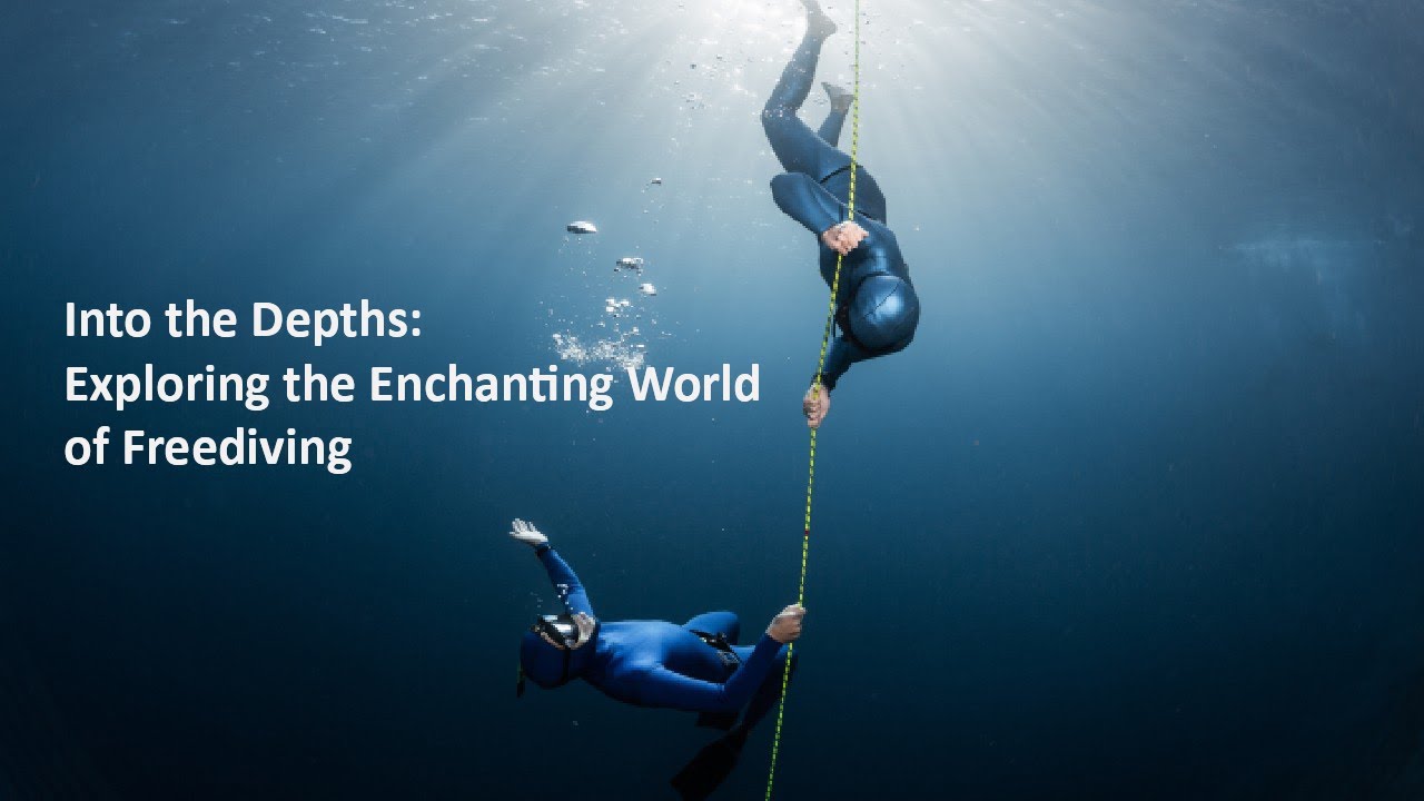 Into the Depths: Exploring the Enchanting World of Freediving - YouTube