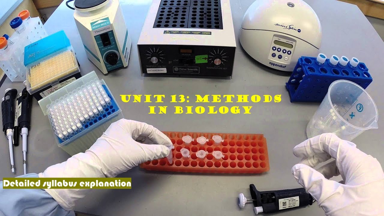 CSIR NET LIFE SCIENCES SYLLABUS EXPLANATION UNIT 13 - YouTube