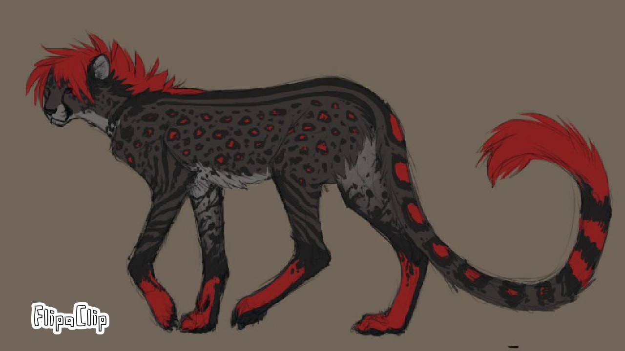 my cheetah oc - YouTube