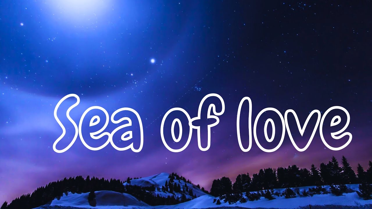 🌊 Sea of Love | Heartfelt Love Song | Original Lyrics🎶 #SeaOfLove # ...
