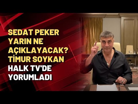 Sedat Peker yarın ne açıklayacak? Timur Soykan Halk TV'de yorumladı