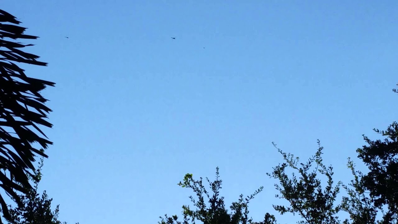 Static swarm - YouTube