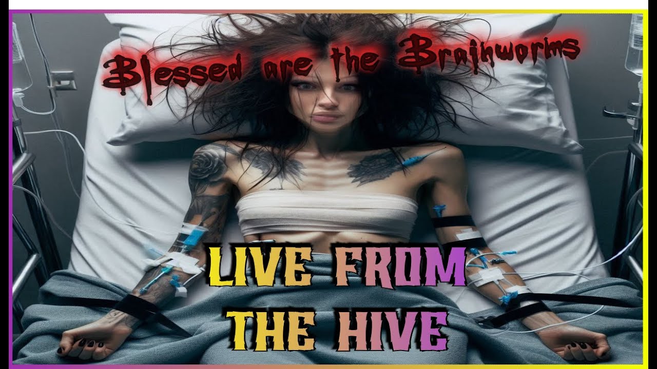 Live from the Hive || Feb 15th 2025 || Queensland Tiger || The Dodleston Phenomena || Brainworms ...