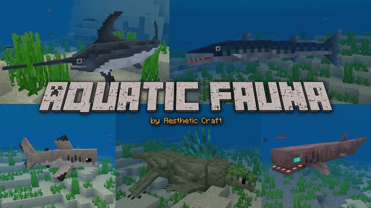 Aquatic Fauna (by Aesthetic Craft) Addon - YouTube