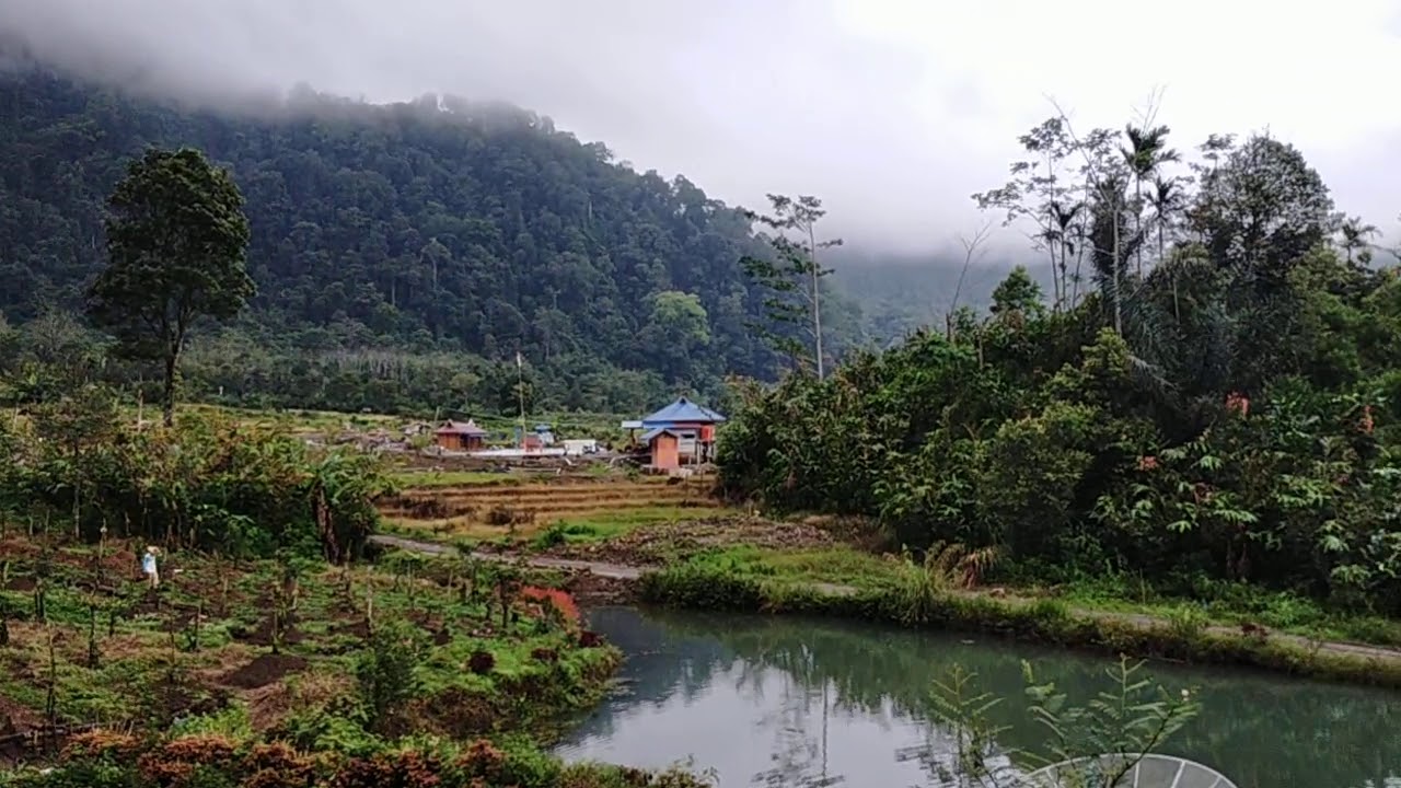 pamah simelir. langkat. by budisolo - YouTube