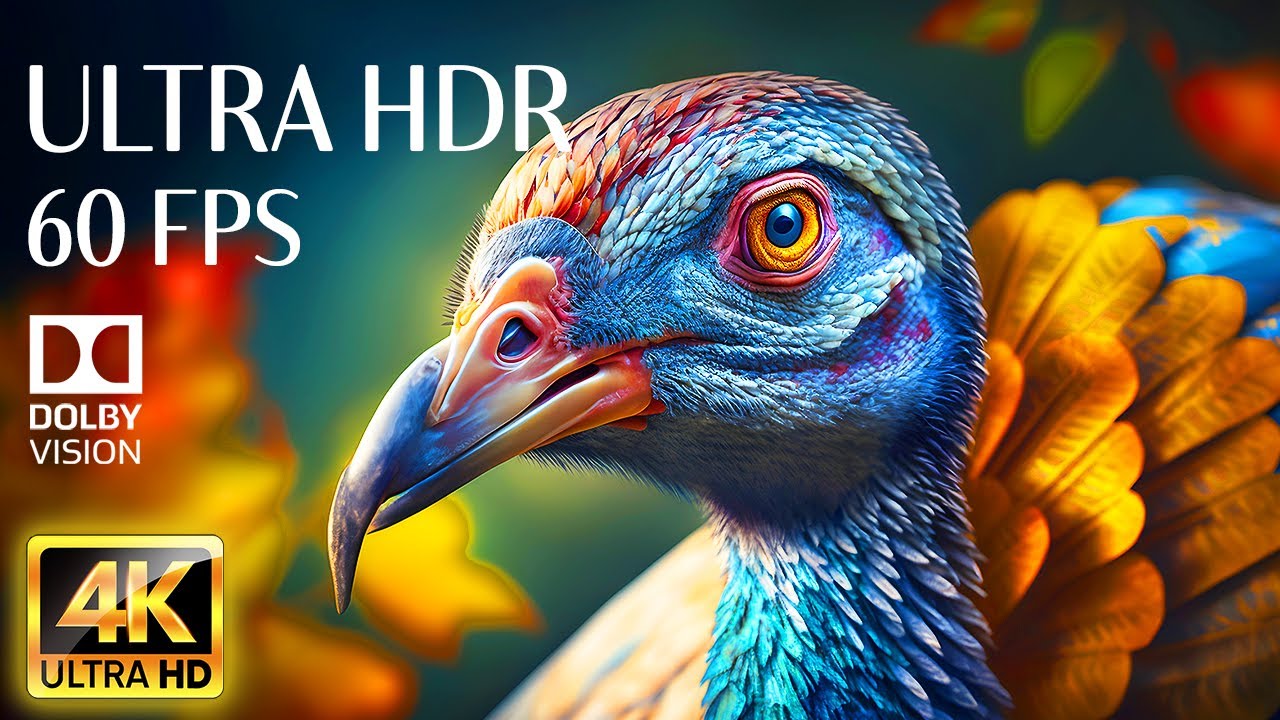 4K HDR 60fps Dolby Vision with Animal Sounds & Calming Music (Colorful ...