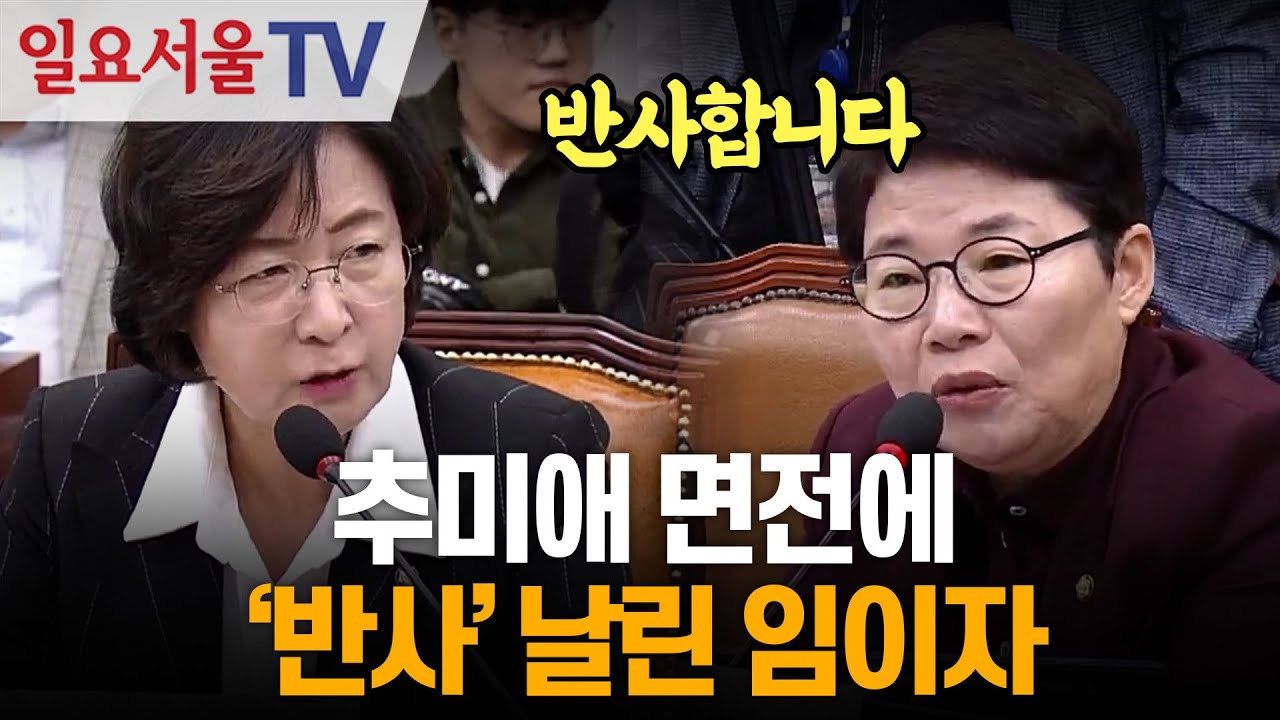 추미애 면전에 반사 날린 임이자 Youtube