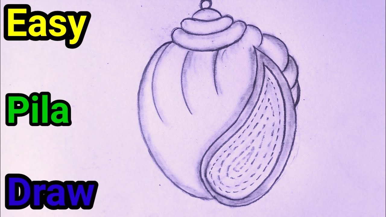 How to Draw Apple Snail//Pila globossa Drawing//#pila globossa #biology ...