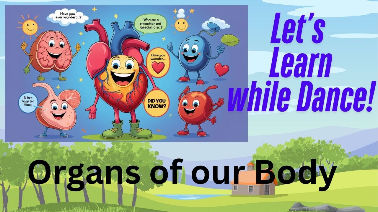 The Organs of our body.. Learn while dance! - YouTube