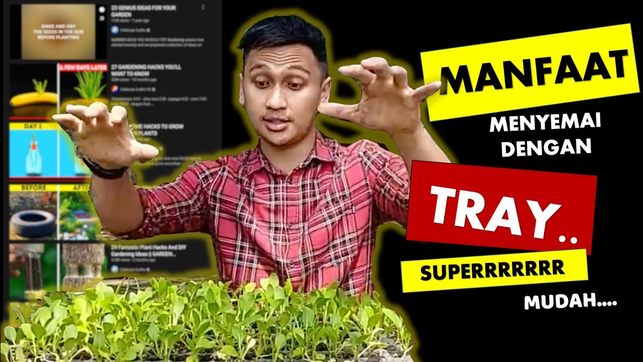 Manfaat menggunakan tray semai. - YouTube