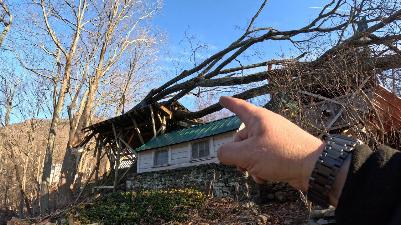 Maple tree emergency ! ( effer 655 knuckle boom ) - YouTube