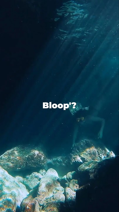 The Bloop: Ocean's Loudest Mystery Solved! 🌊 - YouTube