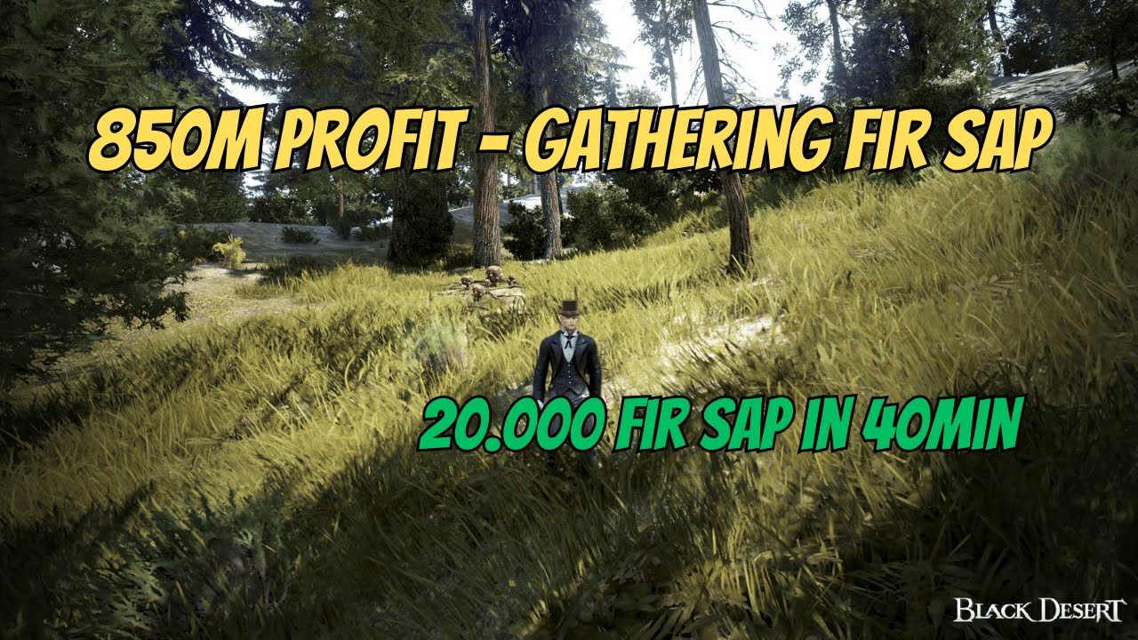 BDO Life | Fir Sap Gathering | 2200 Mastery Test - YouTube